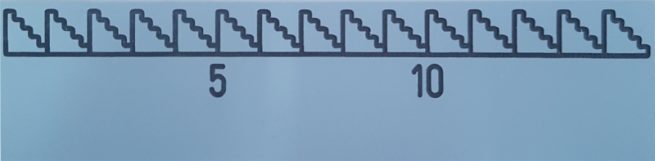 X-Ray Ruler - Rego X-Ray